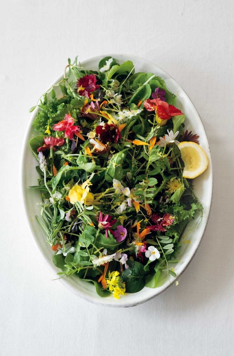 4月25日発売の『クロワッサン』最新号は「花と緑のある暮らし。」 | くらし | クロワッサン オンライン