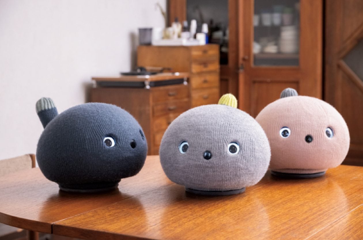 思わず笑顔、優しくなれる！のんびり気ままなロボット、NICOBOがお家にやって来た！ | くらし | クロワッサン オンライン